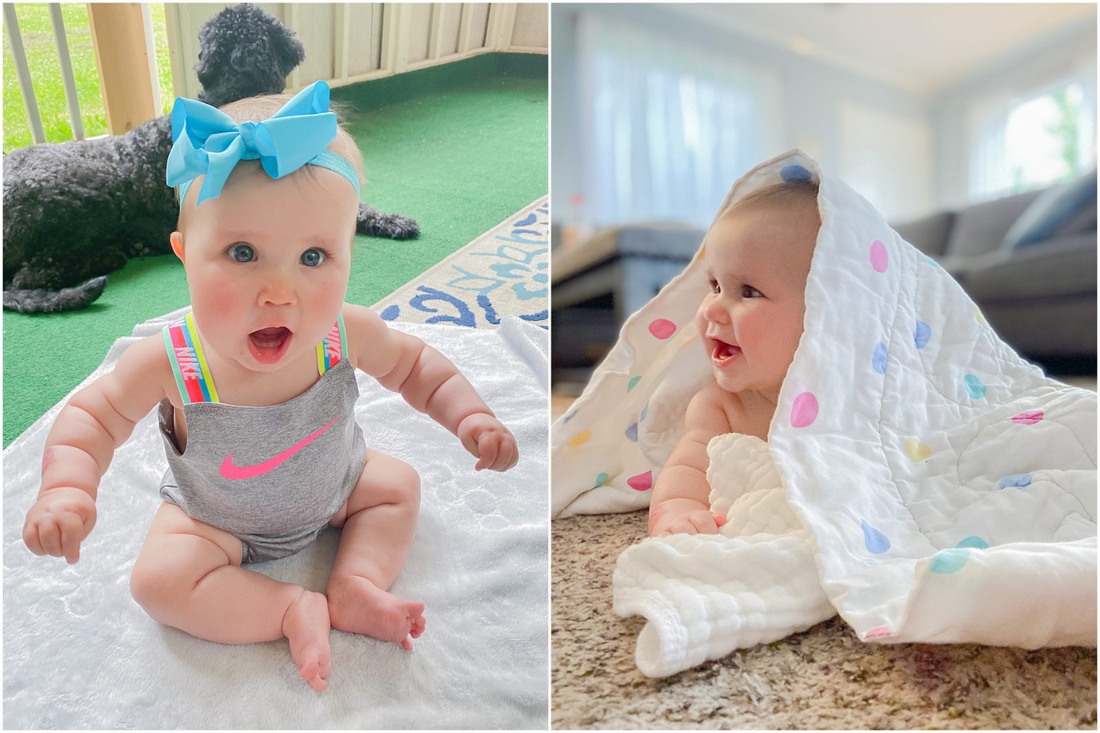 Ellie's 8th Month - Katelyn Anne Photography